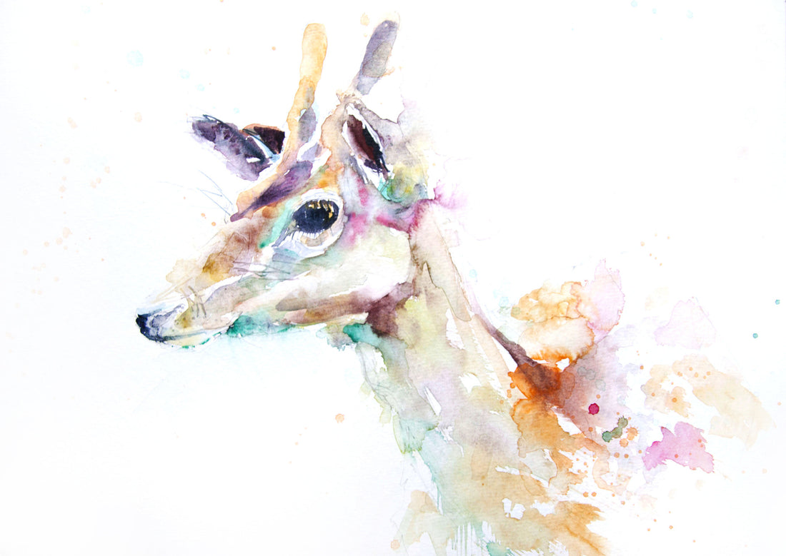 JEN BUCKLEY ART PRINT of my original YOUNG DEER watercolour – Jen ...