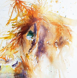 JEN BUCKLEY ART signed PRINT of my original HIGHLAND COW watercolour ...