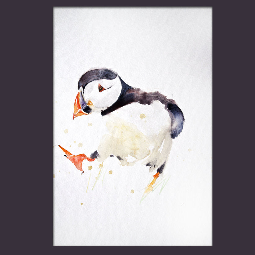 JEN BUCKLEY ART signed PRINT of my original PUFFIN watercolour – Jen ...
