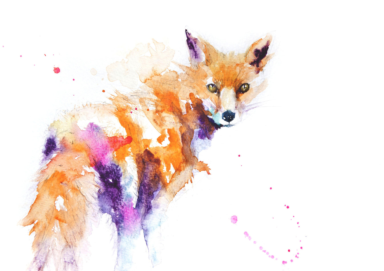 JEN BUCKLEY signed LIMITED EDITON PRINT 'Red Fox' – Jen Buckley Art