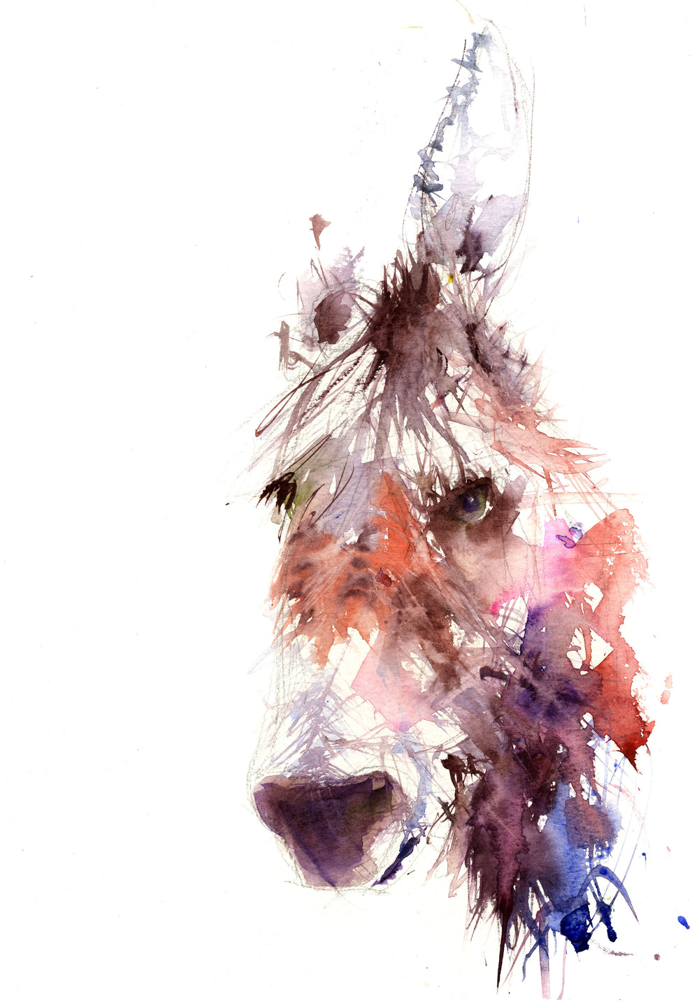 limited edition PRINT of my original DONKEY watercolour – Jen Buckley Art