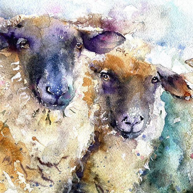 "Three ewes" Limited edition print sheep print – Jen Buckley Art