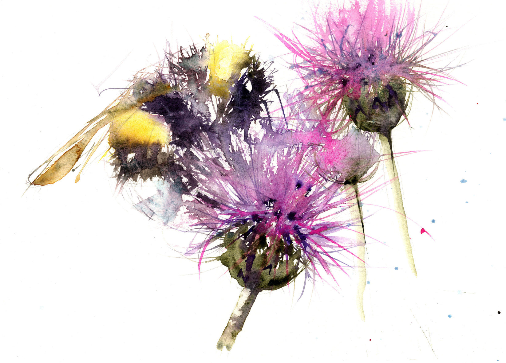 LIMITED EDITON PRINT of my original Bumble bee on a thistle – Jen ...