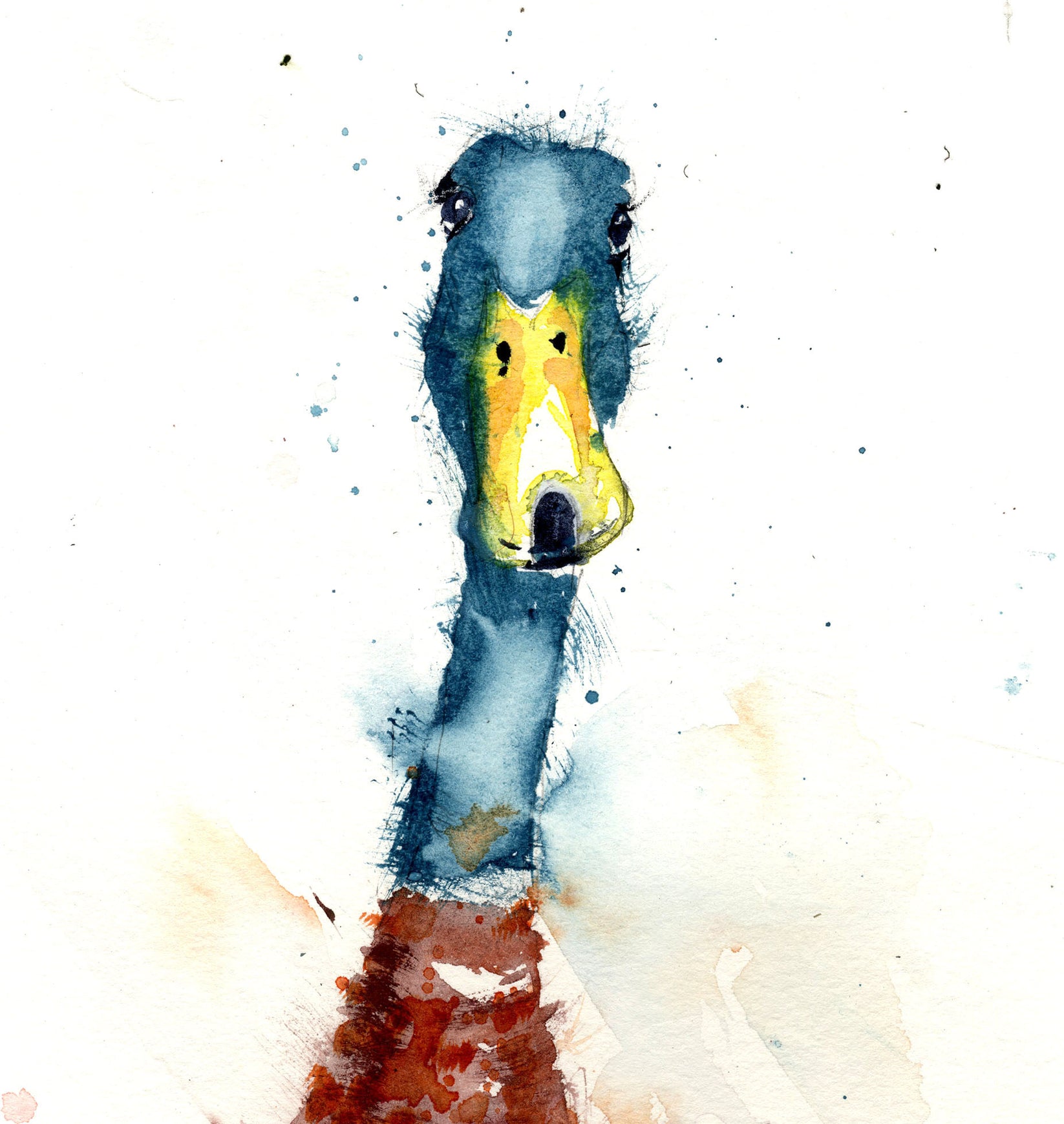 limited edition print Indian runner DUCK – Jen Buckley Art