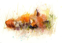 LIMITED EDITON PRINT 'Sleeping Fox' – Jen Buckley Art